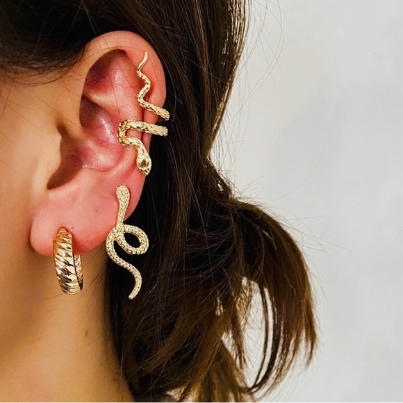 Jewelry | Snake Hoop 3pc Cartilage Earring Set | Poshmark